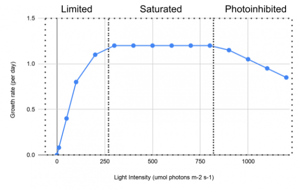 Light Intensity Microalgae Growth - Industrial Plankton